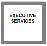 TURNKEY Templates to Assess Executive Services Support – Public ...