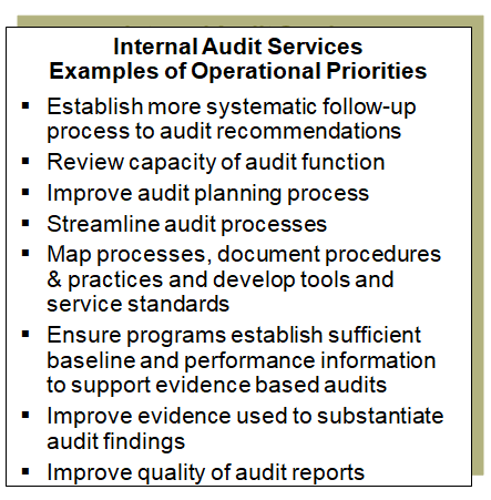 TURNKEY Operational Planning Template-Internal Audit Function (Govt ...