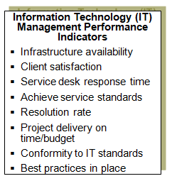Information Technology Management Performance Measurement Tool-TURNKEY ...
