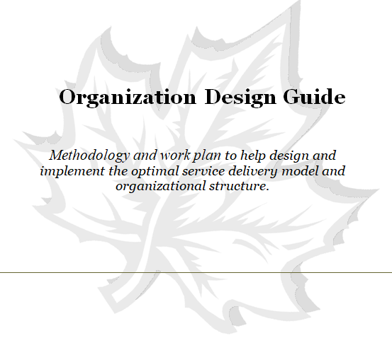 TURNKEY Organization Design Guide (Govt) – Public Management Toolkits